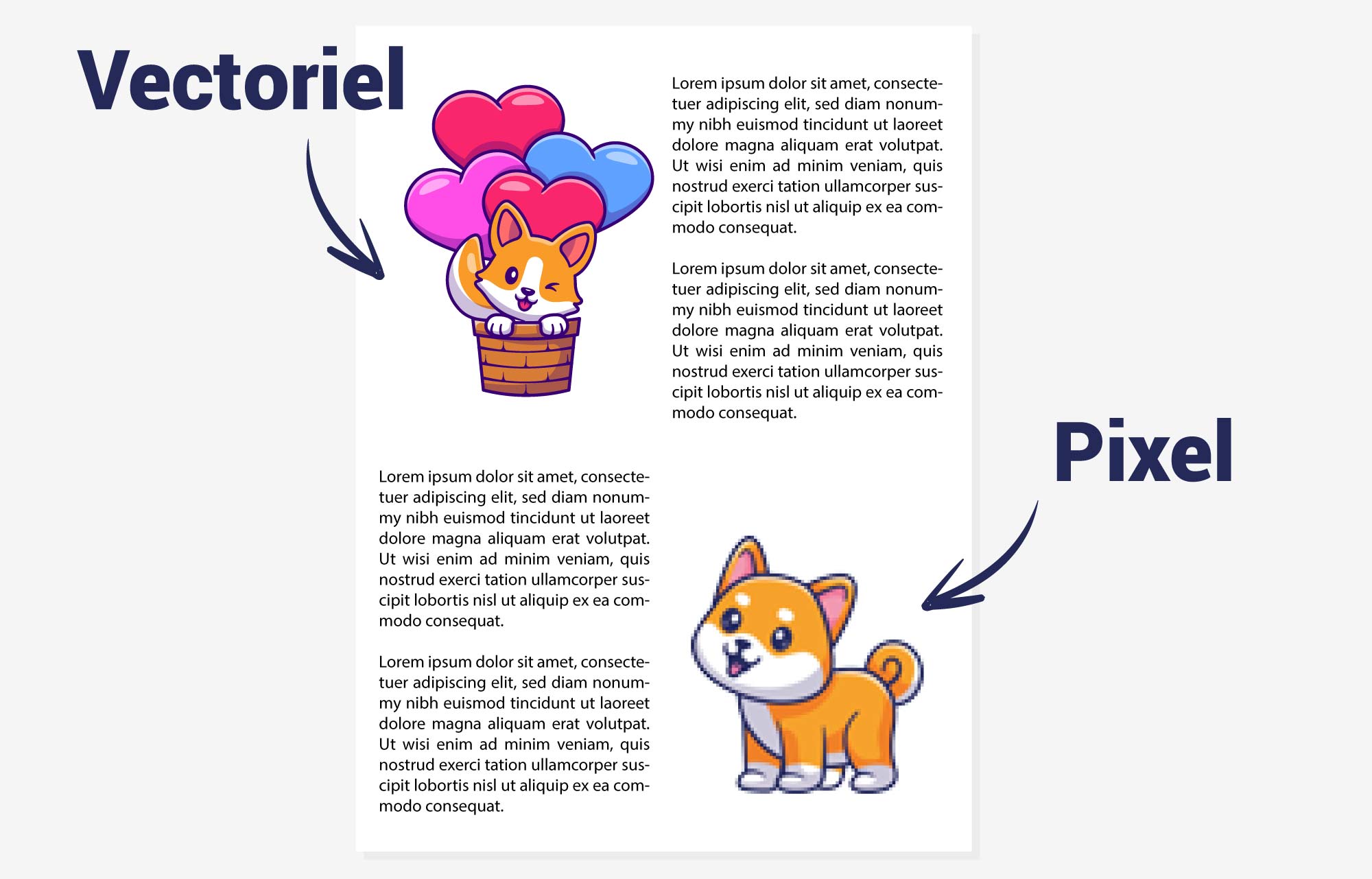 Vectoriel et pixel : quelles différences ? - Blog · Fanny Dirrière