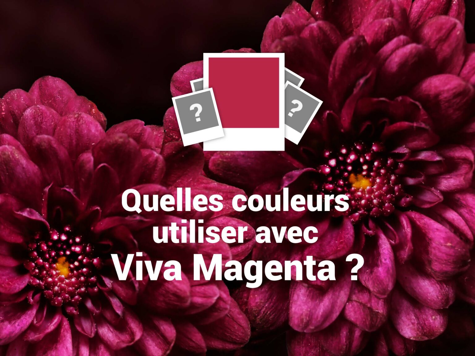 Quelles couleurs utiliser avec Pantone Viva Magenta ? - Blog · Fanny ...